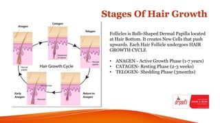 Does Smoking Cause Hair Loss | PPTX | Lung and Respiratory Health ...