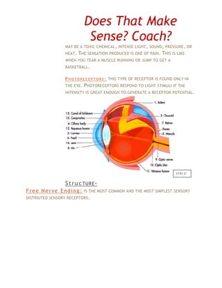 Does that make sense artifact | PDF
