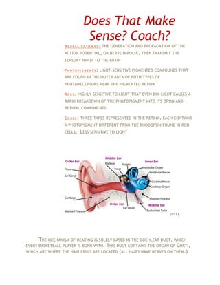 Does that make sense artifact | PDF