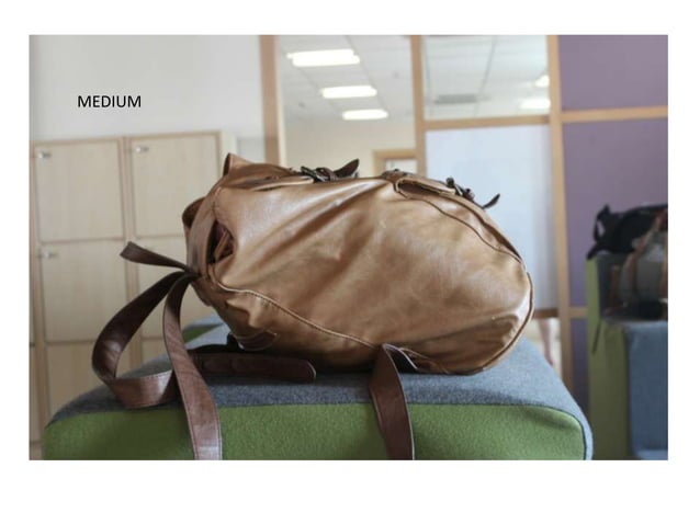 16 Shots of an Animate/In-animate Object | PPT