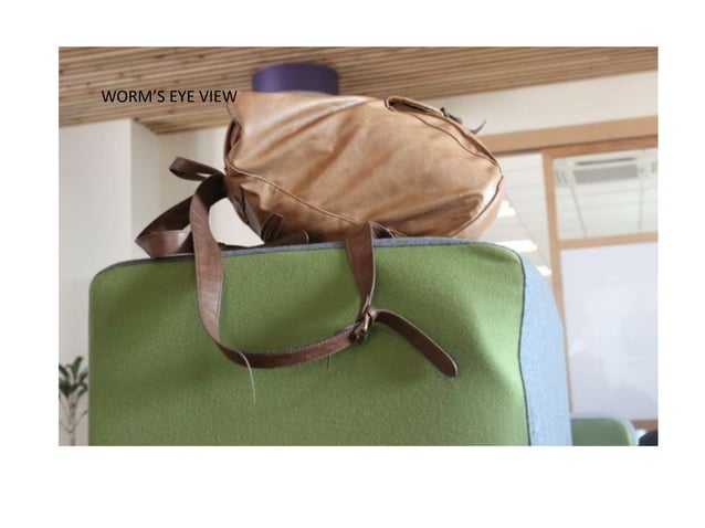 16 Shots of an Animate/In-animate Object | PPT