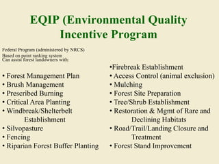 Department of Forestry -- Forest Stewardship & Conservation | PPT