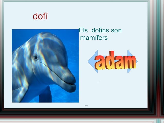 Dofins | ODP