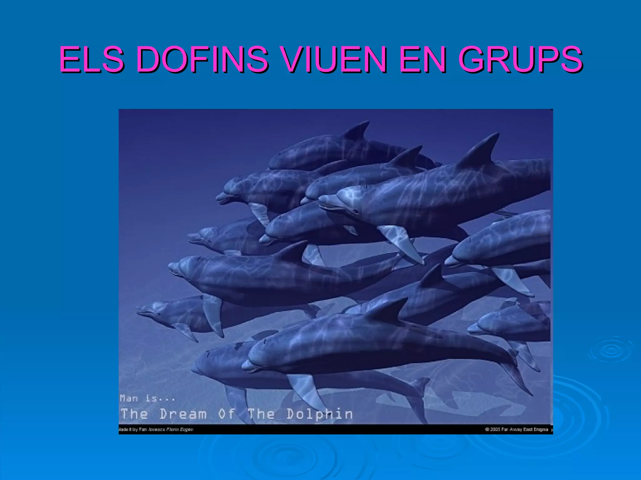 Els dofins (Encara més complet) | PPT