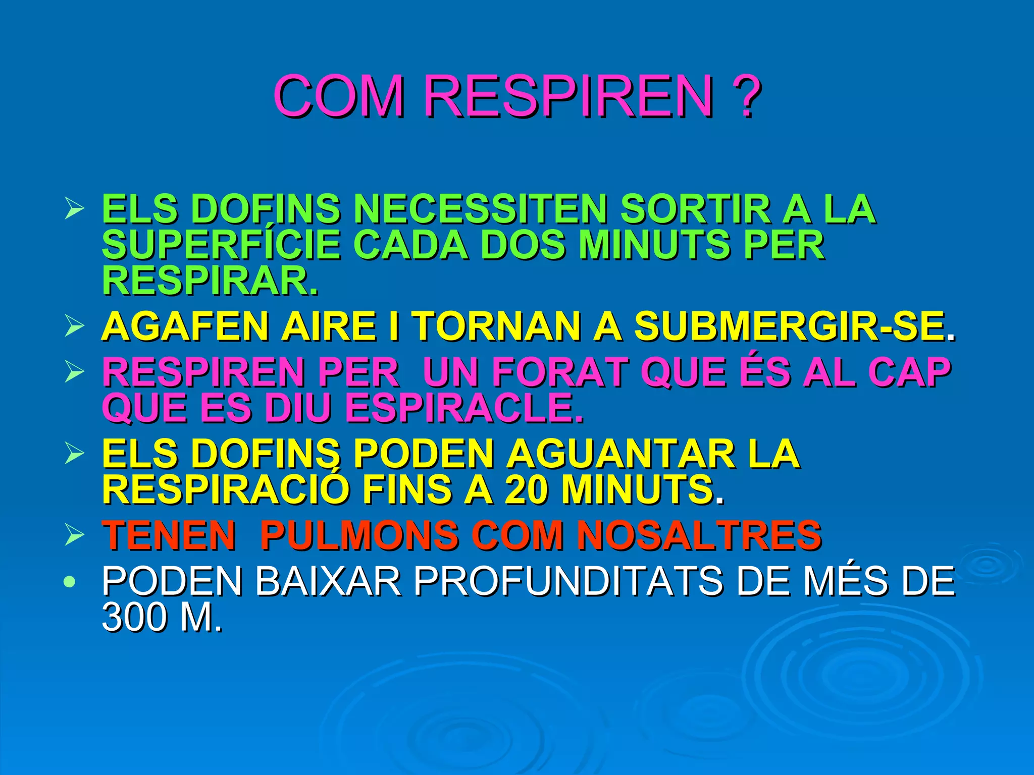 Els dofins (Encara més complet) | PPT