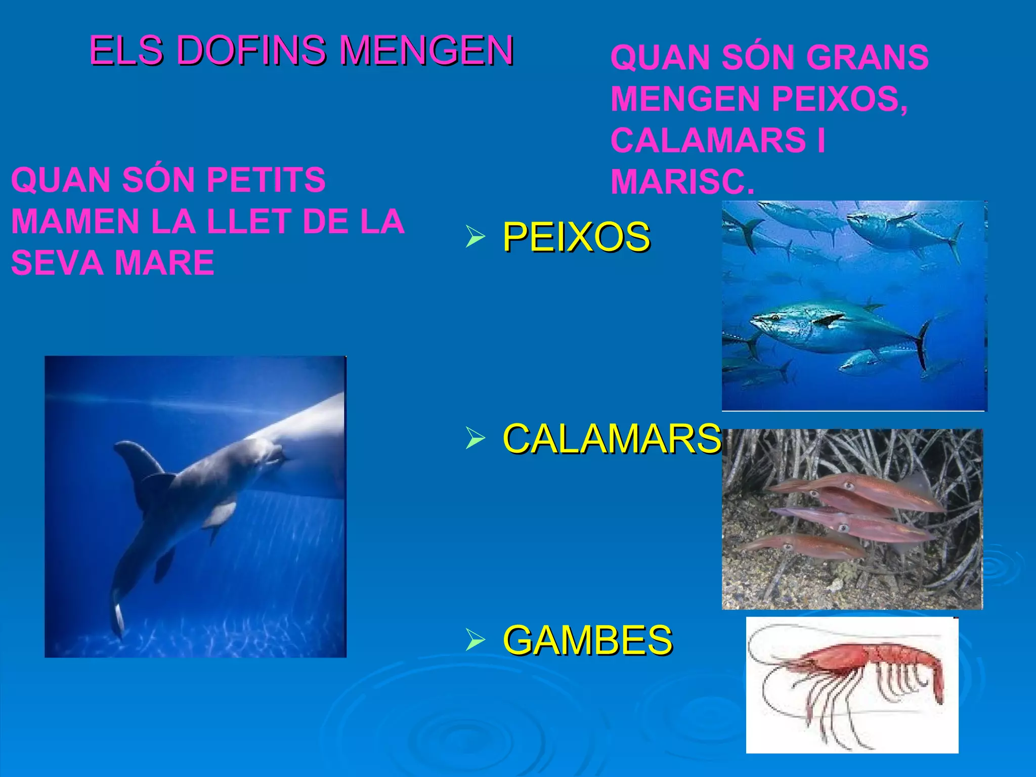 Els dofins (Encara més complet) | PPT