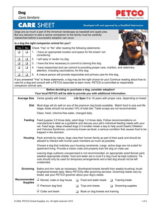 Dogs care | PDF | Veterinary Medicine | Pets