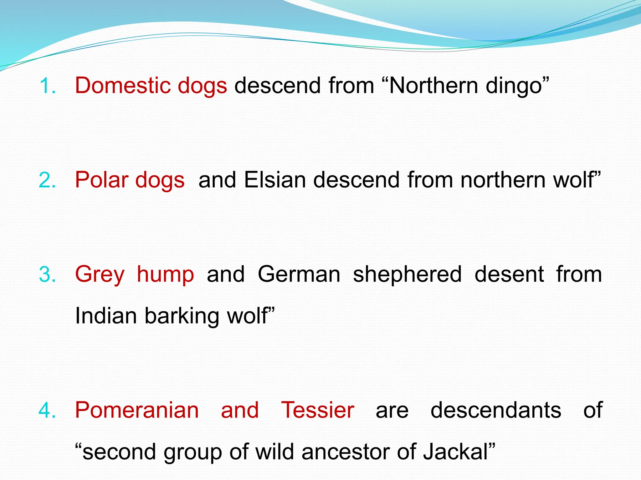 Dog, classification and biologica data 2024 | PPT