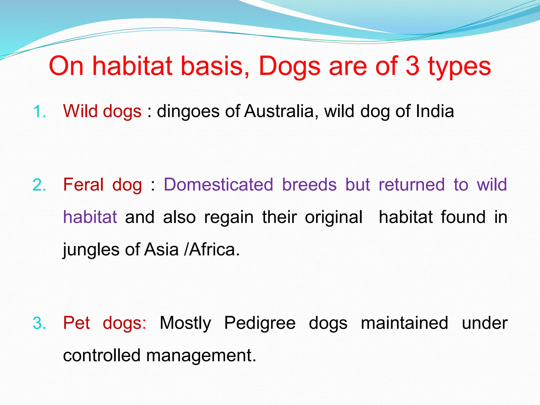Dog, classification and biologica data 2024 | PPT