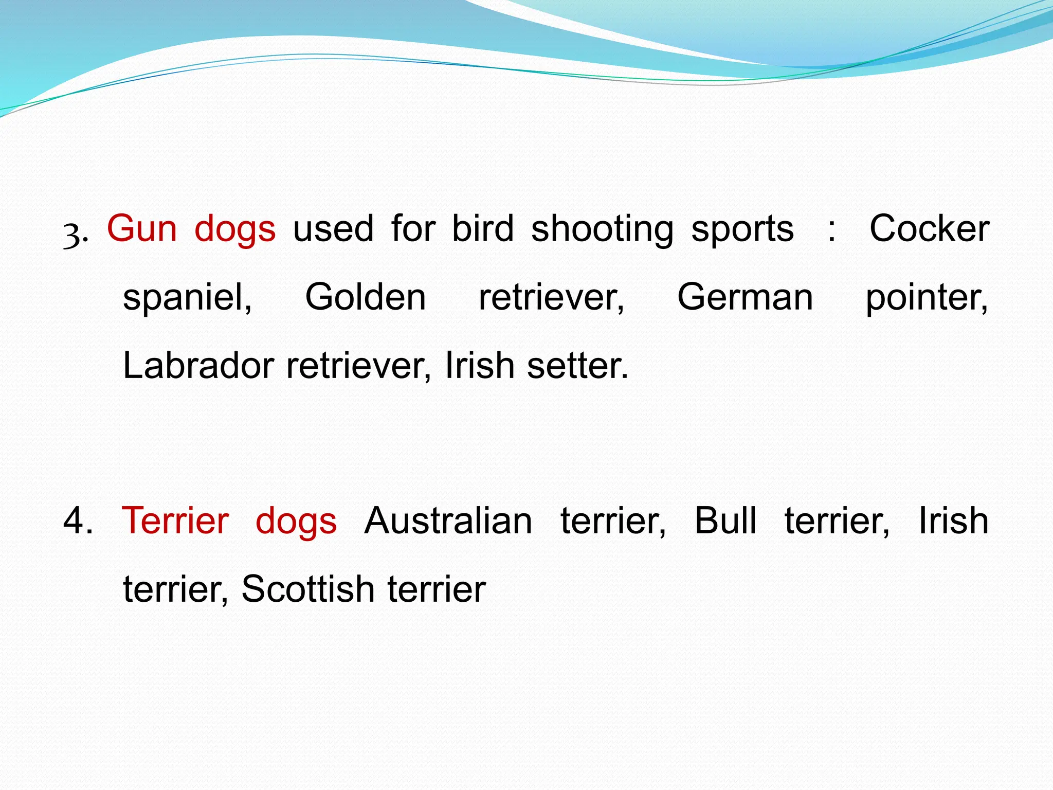Dog, classification and biologica data 2024 | PPT