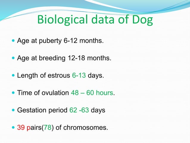 Dog, classification and biologica data 2024 | PPT