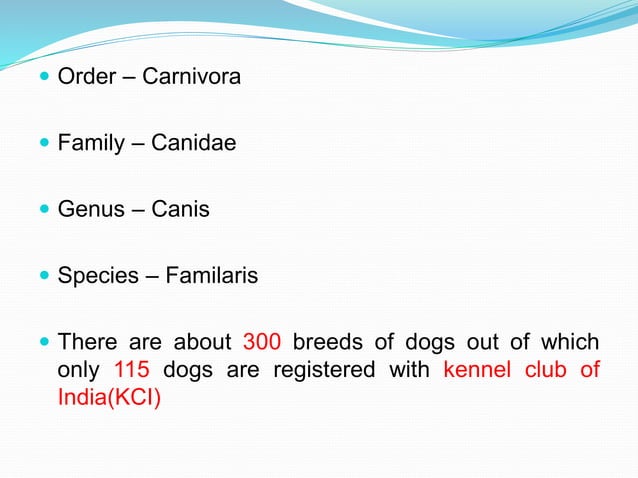 Dog, classification and biologica data 2024 | PPT