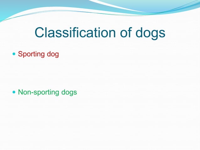 Dog, classification and biologica data 2024 | PPT