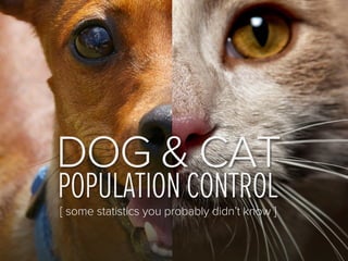 Dog & Cat Overpopulation | PDF