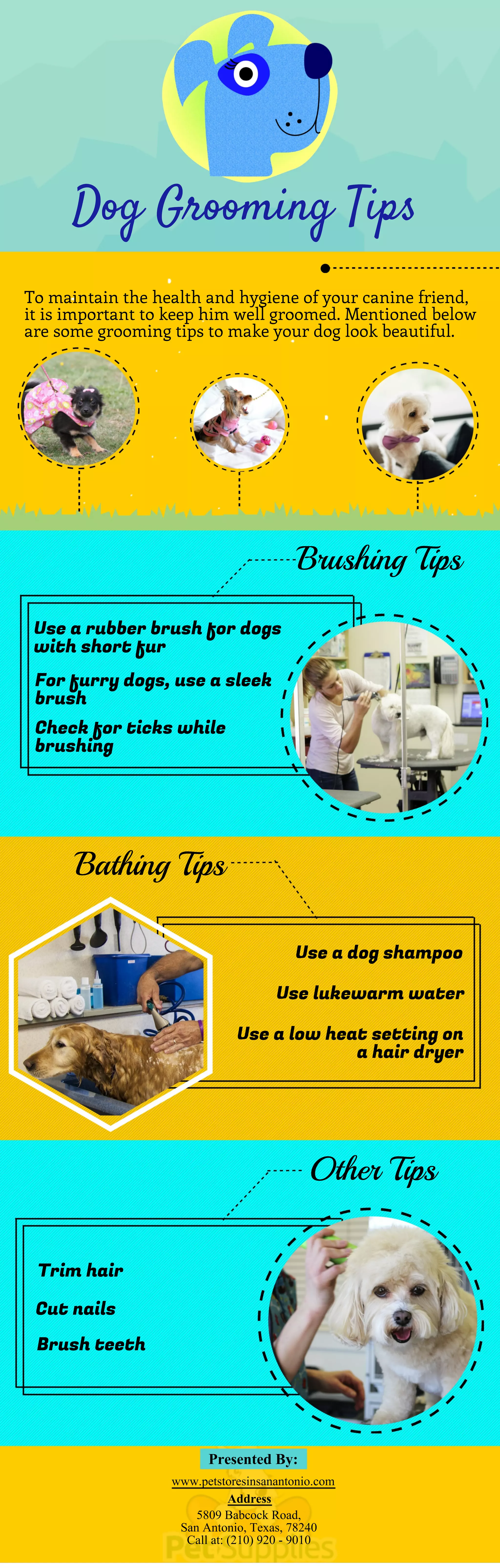 Dog Grooming Tips | PDF