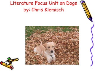 Dog lesson-plan | PPT