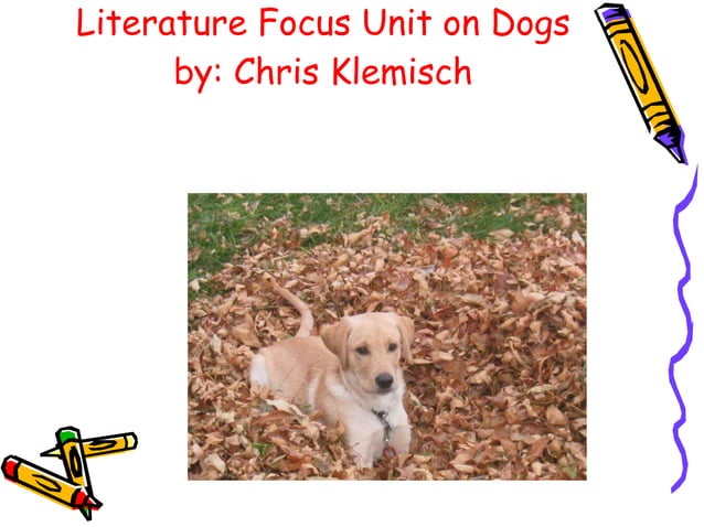 Dog lesson-plan | PPT