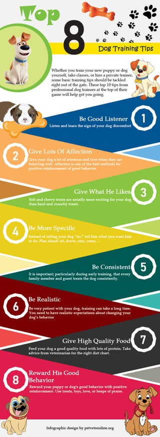 Top 8 Tips To Train Your Dog [INFOGRAPHIC] | PDF