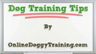 Step By Step Dog Training Tips | PPT