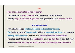 Dog and Cat Nutrition | PDF