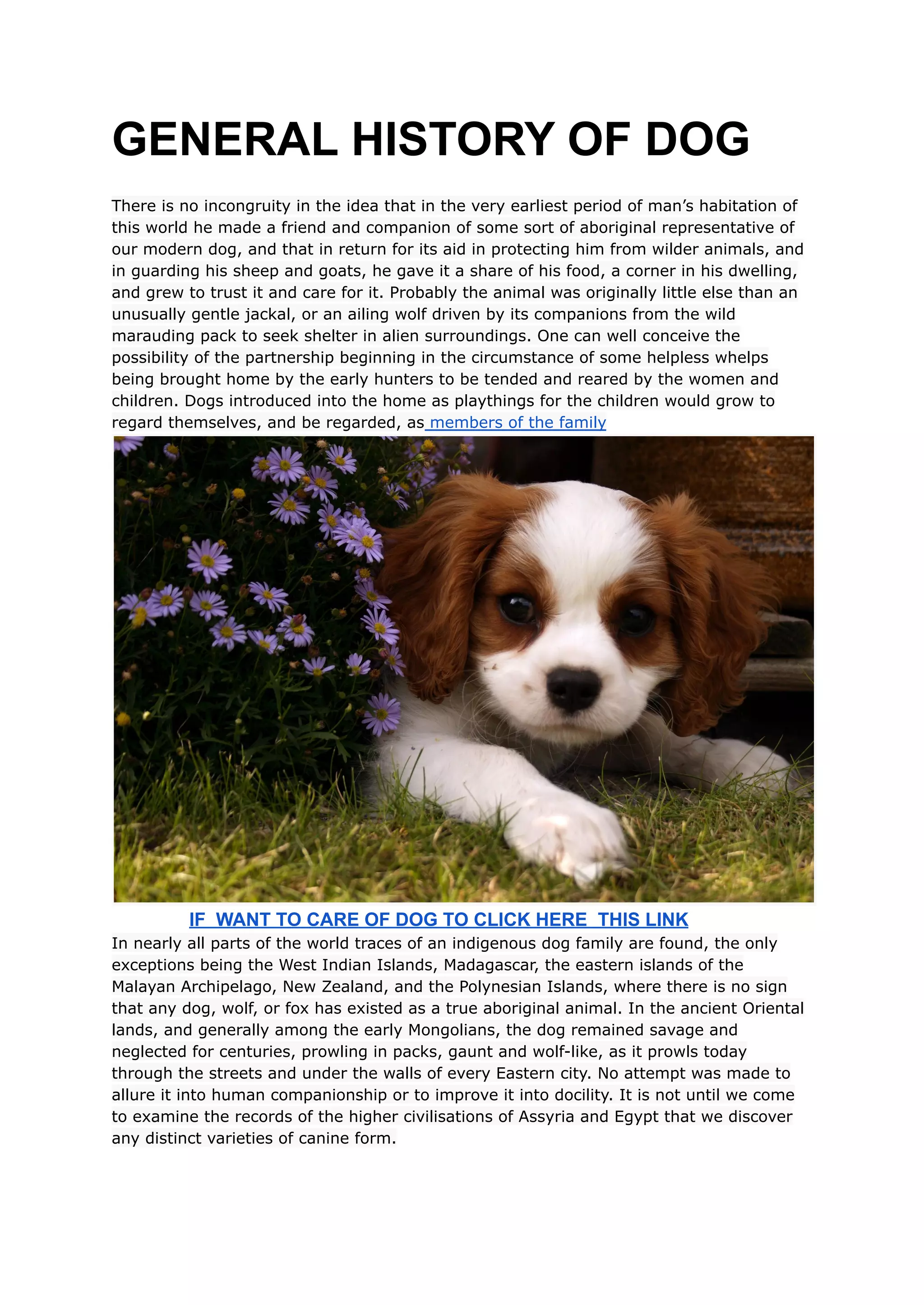GENERAL HISTORY OF DOG | PDF