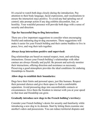 French Dog.pdf | Dogs | Pets