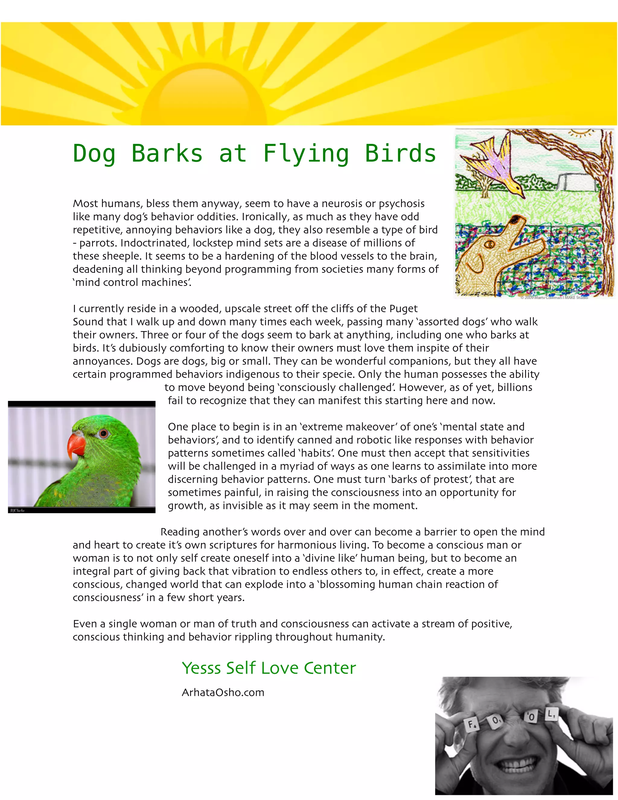 Dog barks at flying birds by arhata | PDF