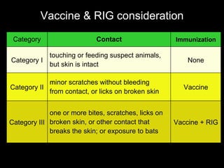 What Is Category 3 Dog Bite