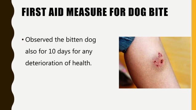 first aid for Dog bite | PPTX