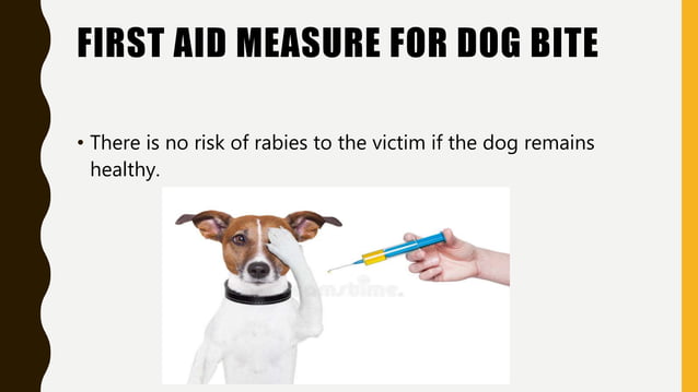 first aid for Dog bite | PPTX