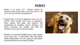 DOG BITE management in pediatrics # for Pediatric pgs# topic ...