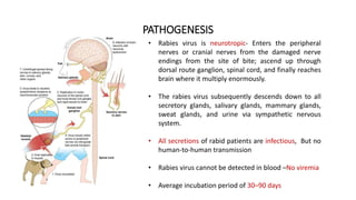 DOG BITE management in pediatrics # for Pediatric pgs# topic ...