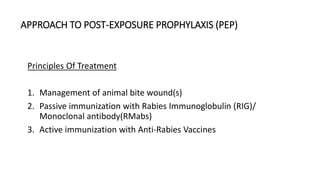 DOG BITE management in pediatrics # for Pediatric pgs# topic ...