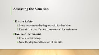 Dog bite prevention and aid with first aid | PPTX