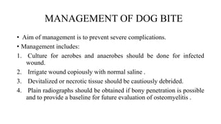 DOG BITE AND ITS MANAGEMENT Medical students.pptx