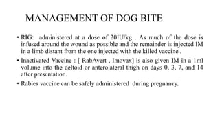 DOG BITE AND ITS MANAGEMENT Medical students.pptx