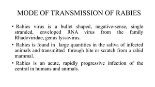 DOG BITE AND ITS MANAGEMENT Medical students.pptx