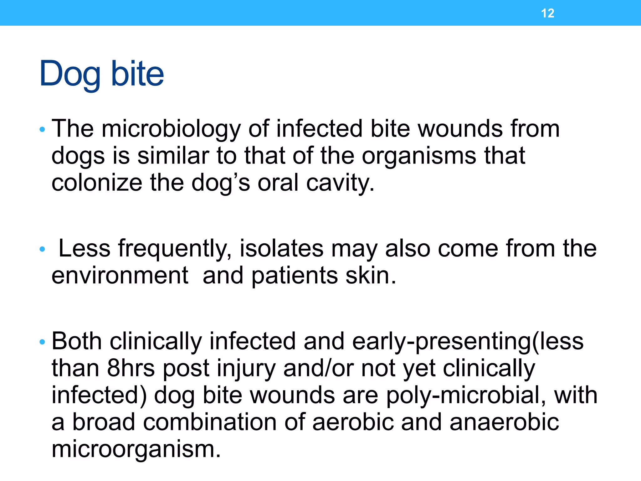DOG BITE and it's Management-RAVINDRA G O | PPTX