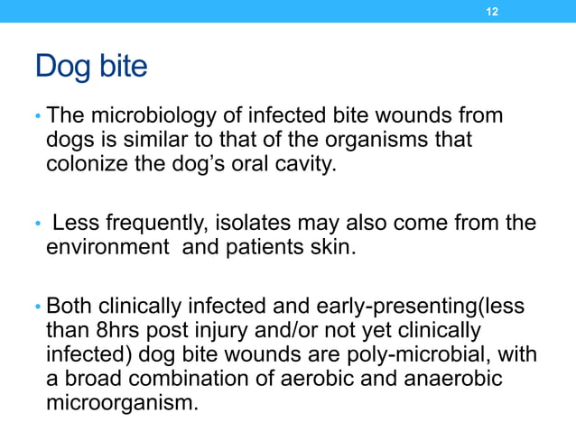 DOG BITE and it's Management-RAVINDRA G O | PPTX | Infectious Diseases ...