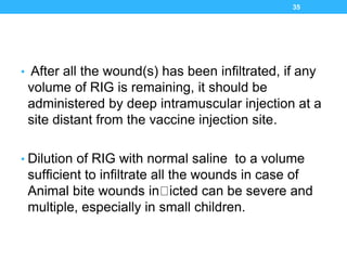 DOG BITE and it's Management-RAVINDRA G O | PPTX