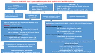 dog bite protocol.pptx