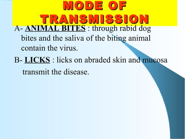 Dog bite (rabies) | PPT | Infectious Diseases | Diseases and Conditions