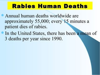 Dog bite (rabies) | PPT