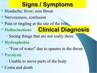 Can A Dog Bite Cause Numbness