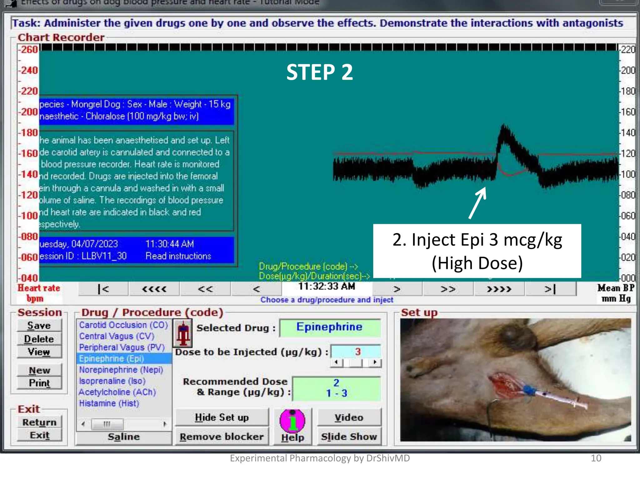 Effect of Drugs on Dog's Blood Pressure using CAL (Computer aided ...