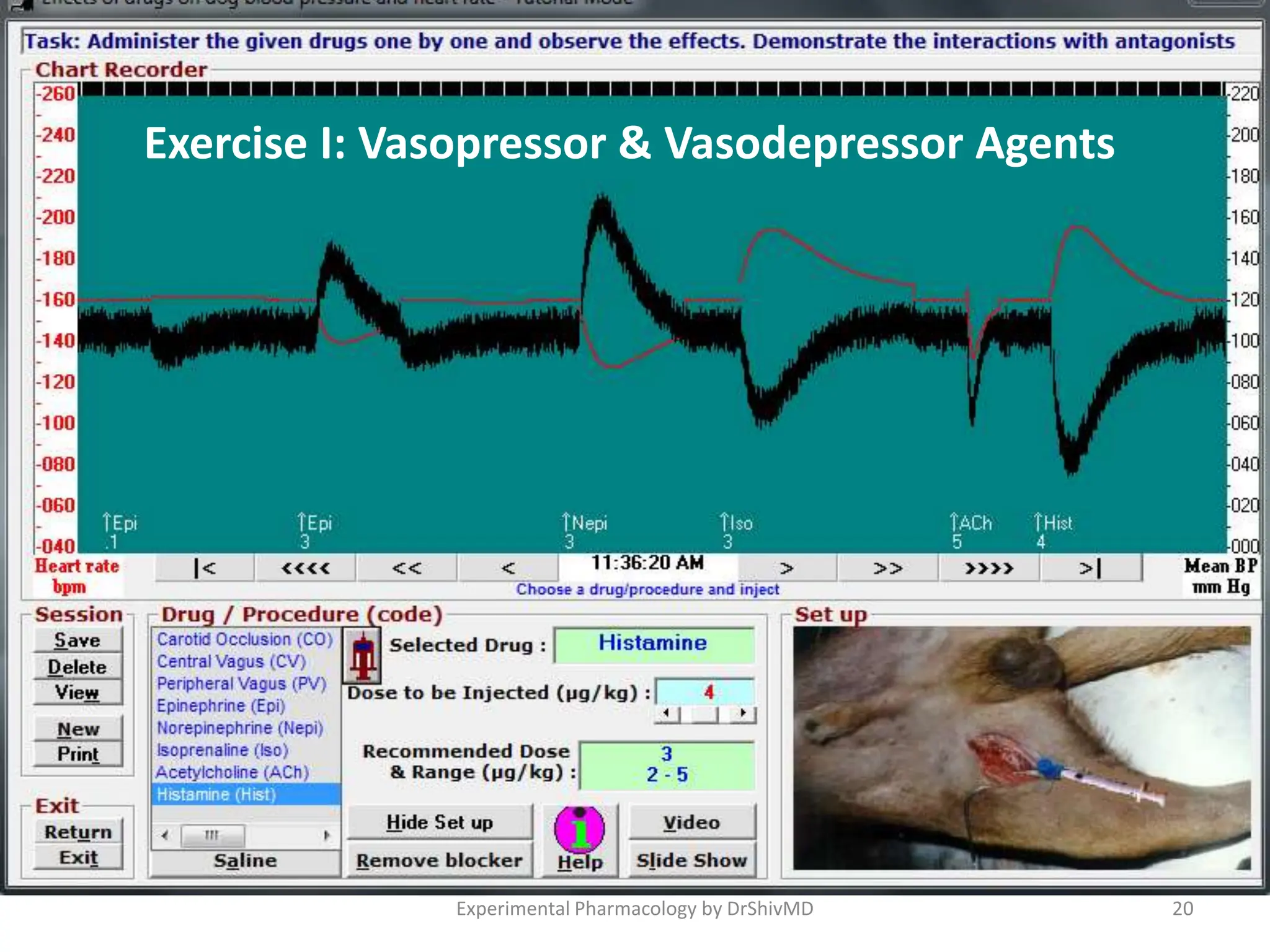 Effect of Drugs on Dog's Blood Pressure using CAL (Computer aided ...
