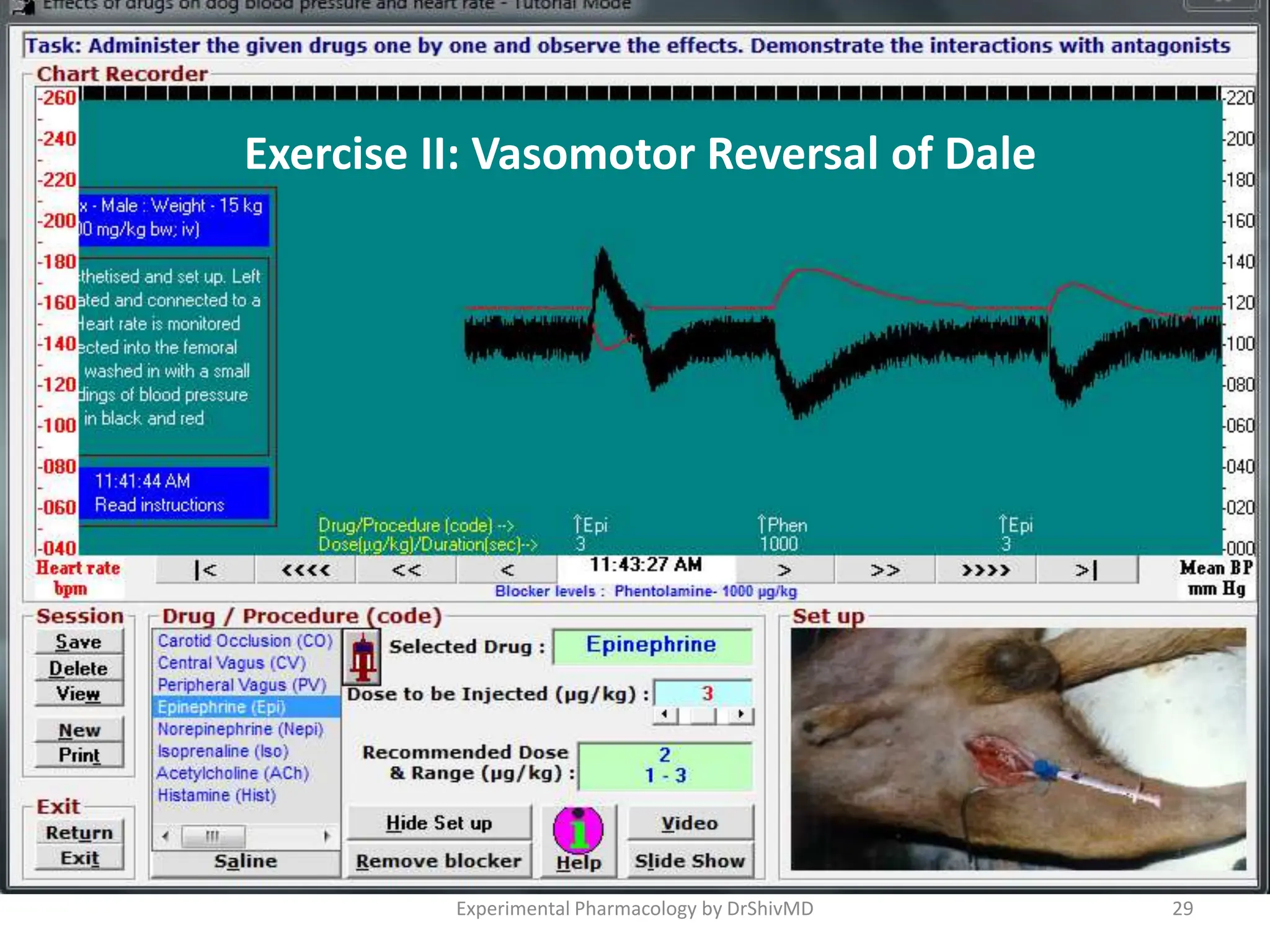 Effect of Drugs on Dog's Blood Pressure using CAL (Computer aided ...