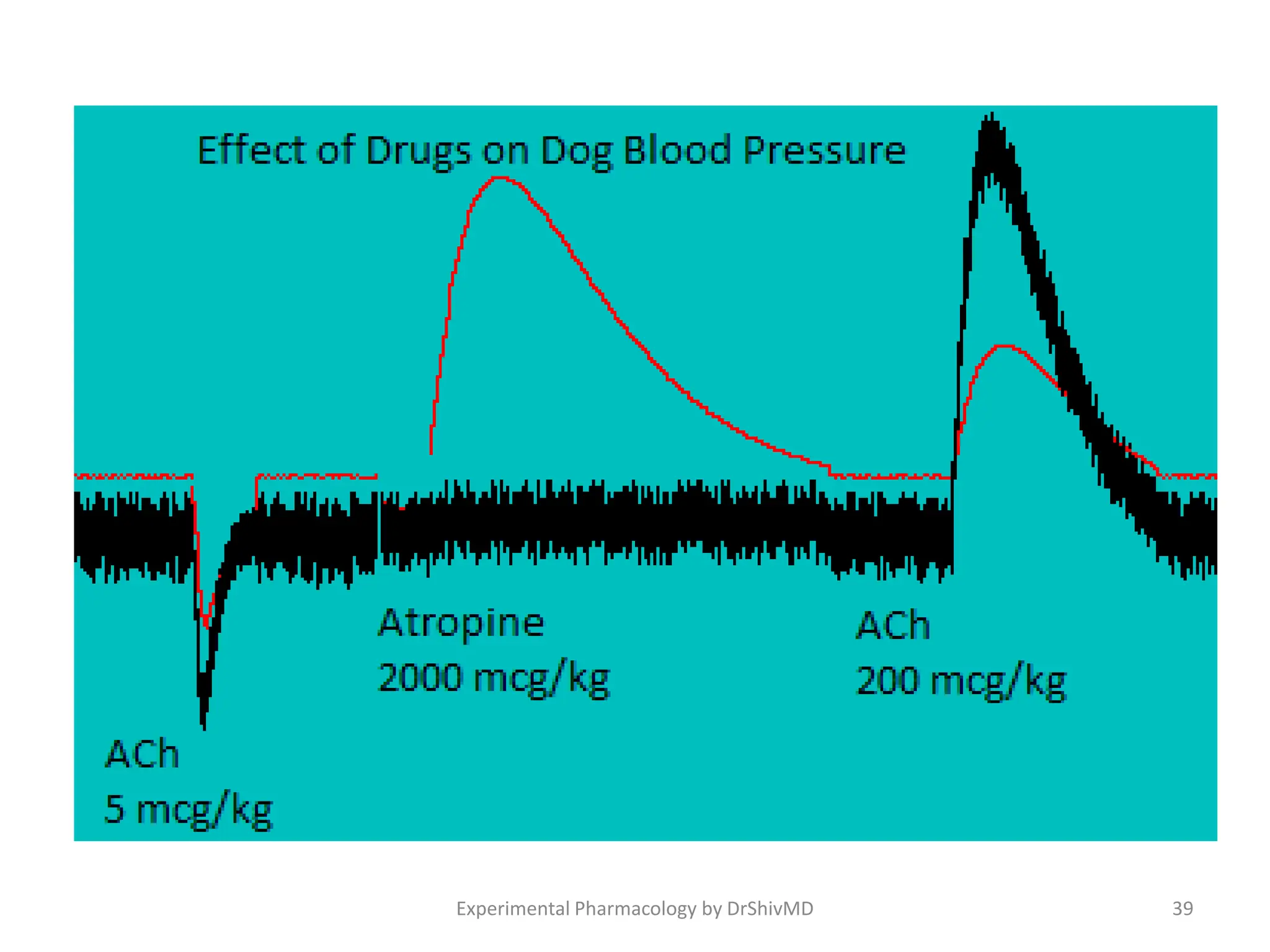 Effect of Drugs on Dog's Blood Pressure using CAL (Computer aided ...