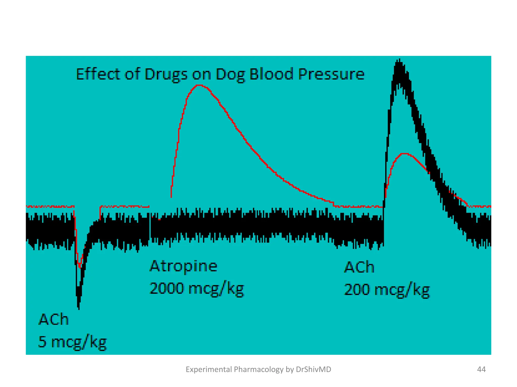 Effect of Drugs on Dog's Blood Pressure using CAL (Computer aided ...