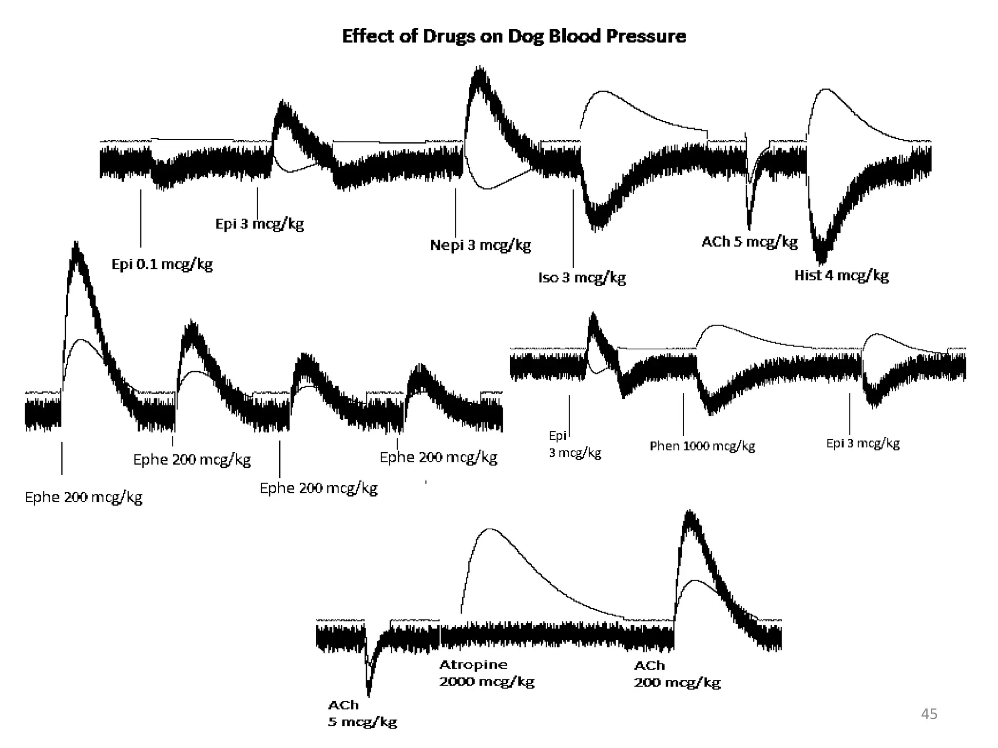 Effect of Drugs on Dog's Blood Pressure using CAL (Computer aided ...